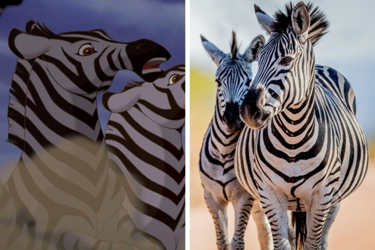 20 Animals In Lion King Movie You Should Know In Real Life