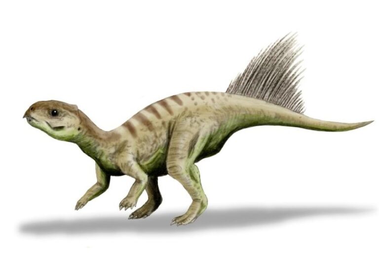 Cutest Dinosaurs: Top 10 Most Beautiful Dinosaurs Ever