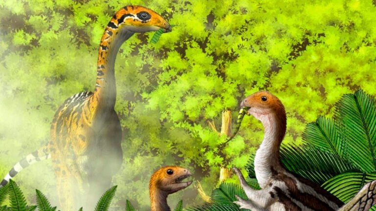 Top 10 Most Popular Dinosaurs That Ever Lived On Earth