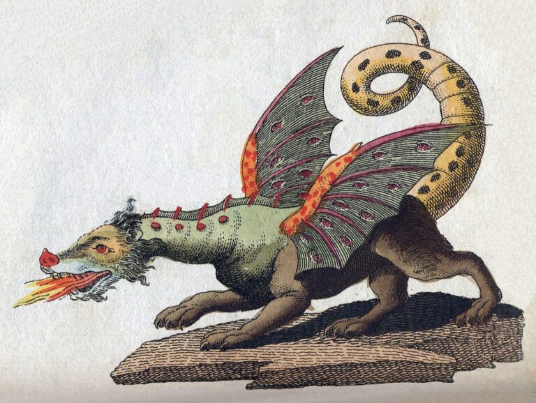 Western Dragons: History, Significance, Types & Facts