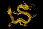 Types Of Dragons (10 Species In Ancient & Modern Folklore)