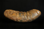 Here's How Dinosaur Fossils Are Formed - Step By Step