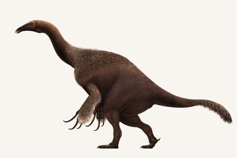 Weird Dinosaurs: Top 10 Funny-Looking Dinosaurs