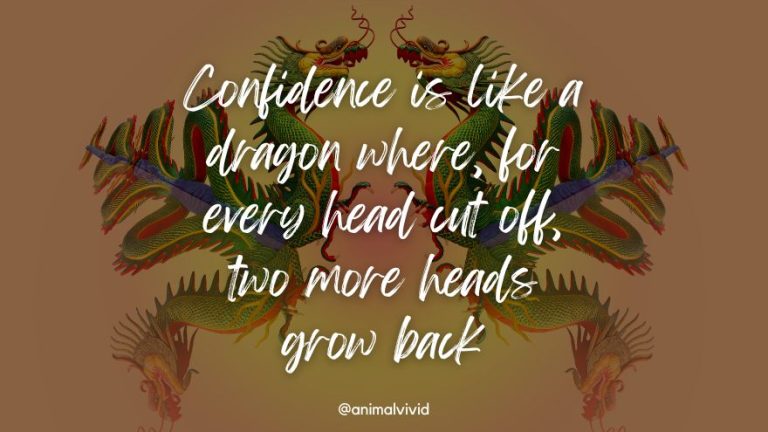 70 Best Dragon Quotes For Fantasy Fans