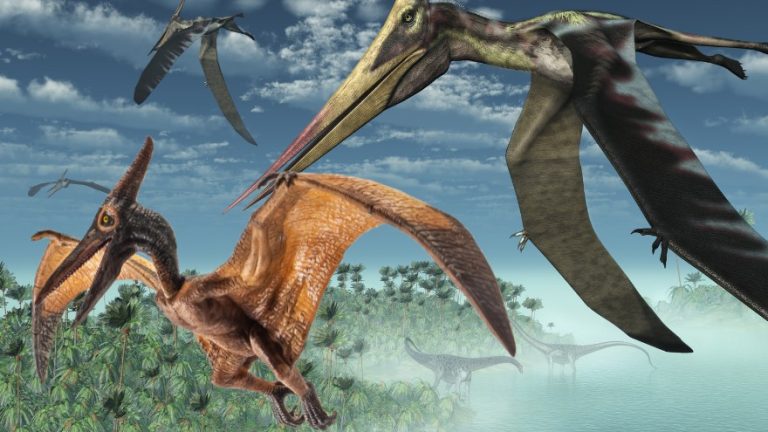 Are There Any Flying Reptiles Today?