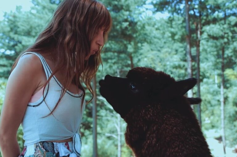 20 Friendliest Animals In The World - Planet’s Heartwarming Creatures