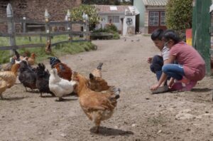 20 Friendliest Animals In The World - Planet’s Heartwarming Creatures