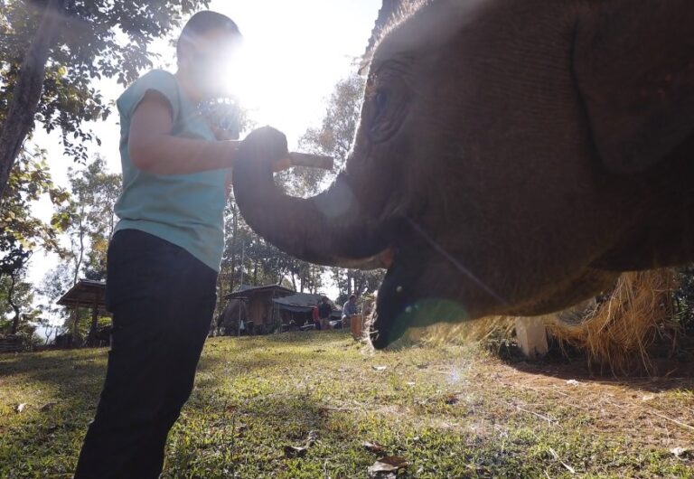 20 Friendliest Animals In The World - Planet’s Heartwarming Creatures