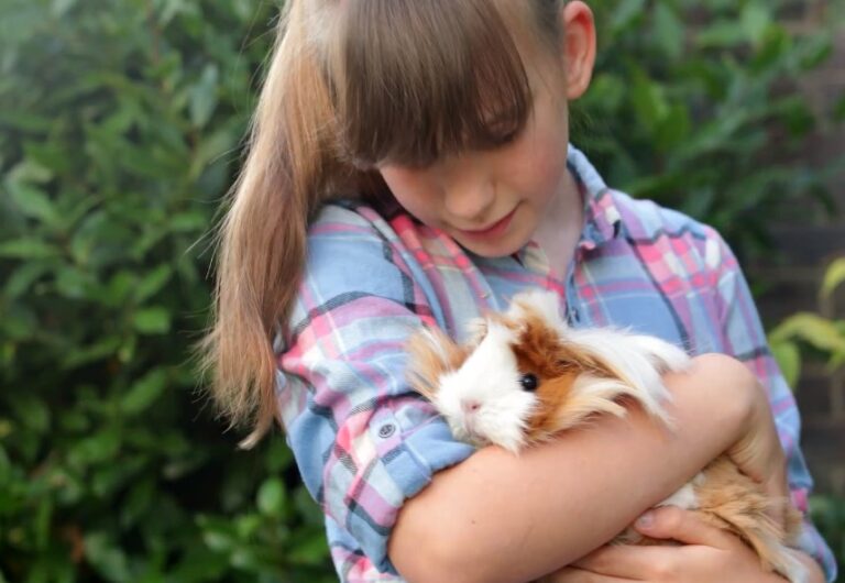 20 Friendliest Animals In The World - Planet’s Heartwarming Creatures