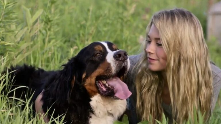 Can Dogs Actually Smile? - Explaining Canine Facial Expressions