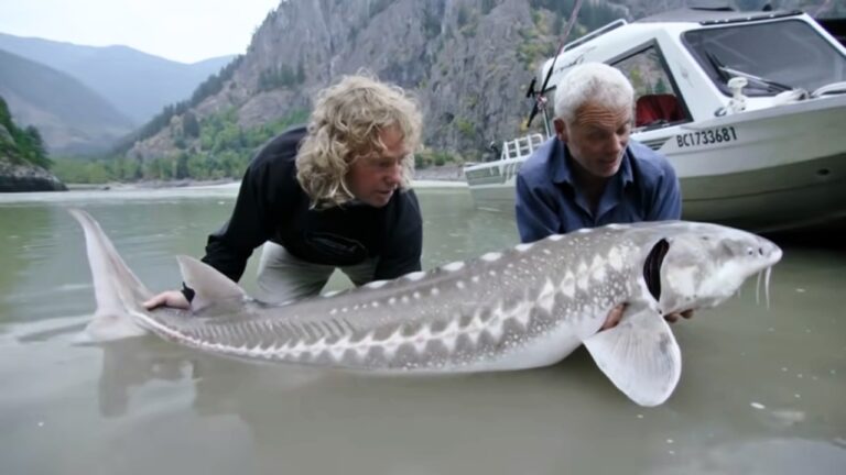 10 Largest Fresh Water Fishes in the World - Beyond Ordinary