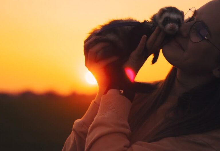 20 Friendliest Animals In The World - Planet’s Heartwarming Creatures