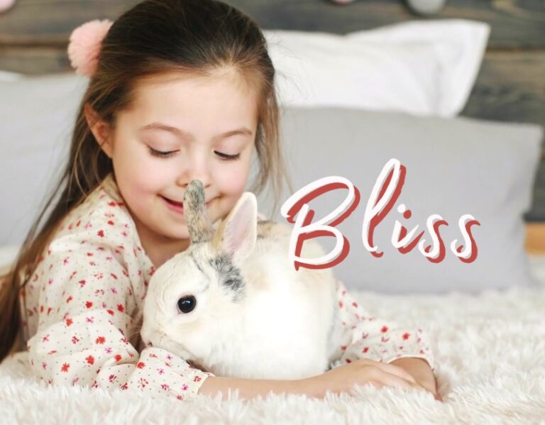 350+ Rabbit Name Ideas - In Alphabetical Order!