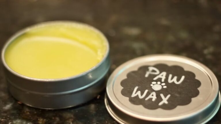 How to Care for Your Dog’s Paw Pads? Must Read!