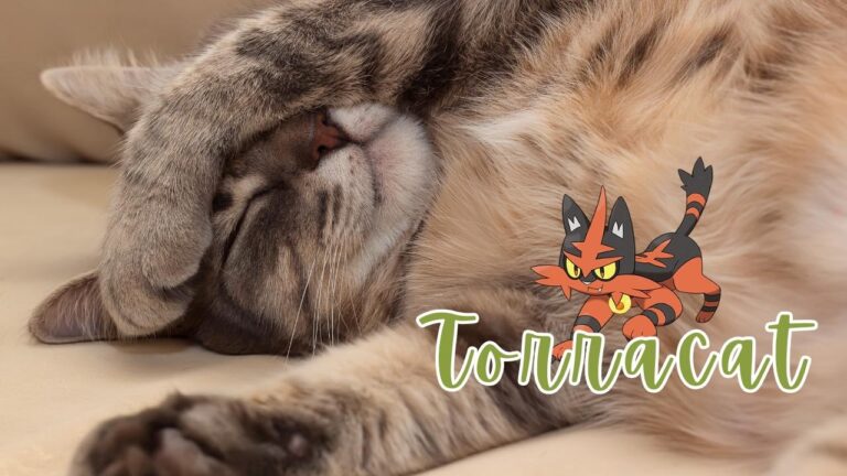 30+ Pokémon Cat Names: Male & Female