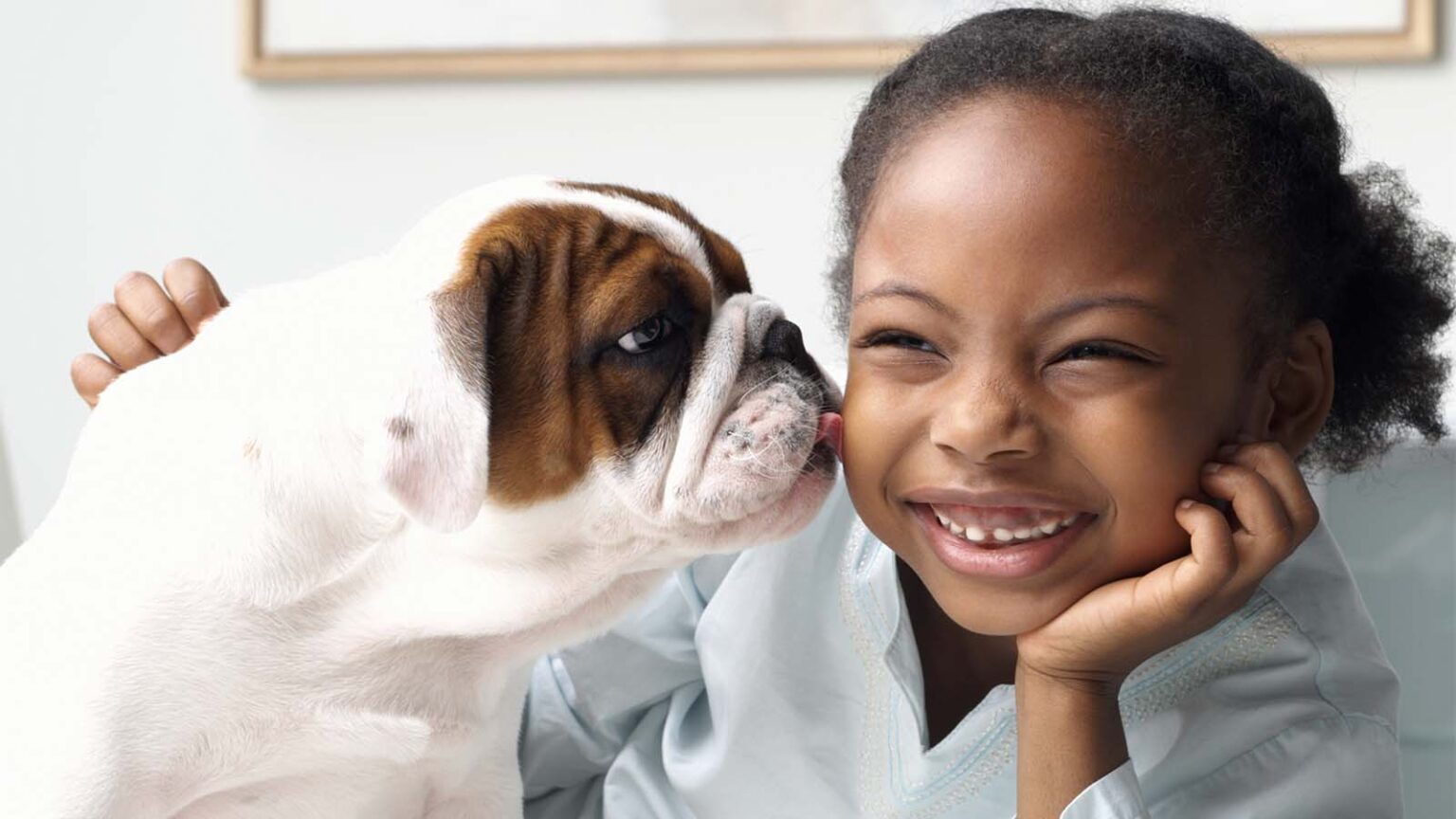 Why Does My Dog Lick Me Ear at Sandra Raines blog Why Does My Dog Lick Me Ear at Sandra Raines blog