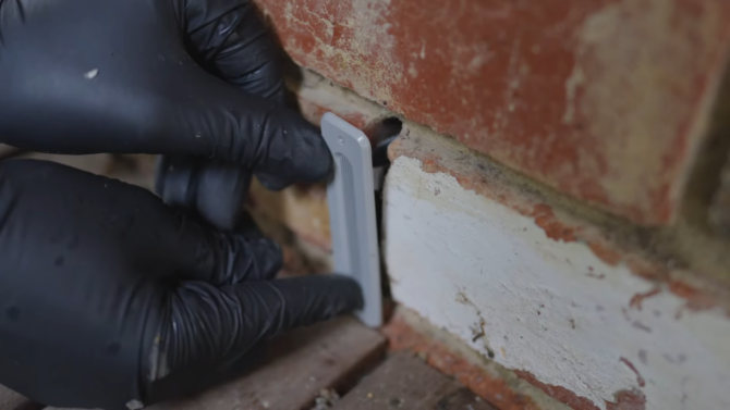 Eco-Friendly Rodent Control: Natural Solutions for a Pest-Free Home