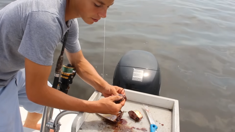 5 Chumming Techniques for Beginner Anglers